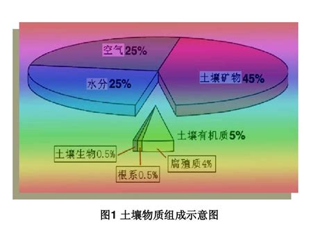 1 3土壤物质组成 word文档在线阅读与下载 免费文档