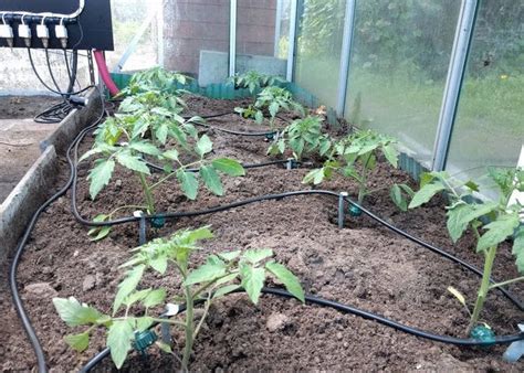 Raspberry Pi Irrigation System For Your Crops Geeky Gadgets