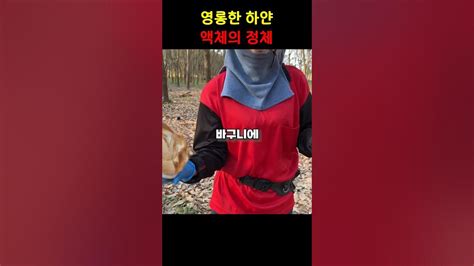 영롱한 하얀 액체의 정체 Youtube