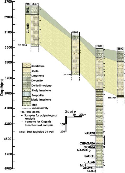 Lithostratigraphic Correlation Diagram Of The Proposed Source Rocks For Download Scientific