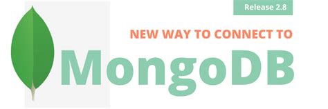 NEW Pivot Table For MongoDB A New Approach To Visualize Your Database Flexmonster