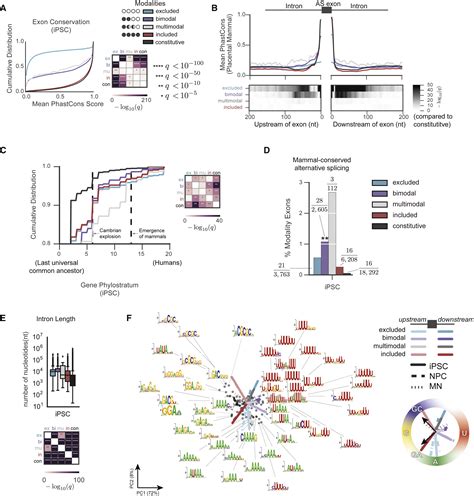 Single Cell Alternative Splicing Analysis With Expedition Reveals Splicing Dynamics During