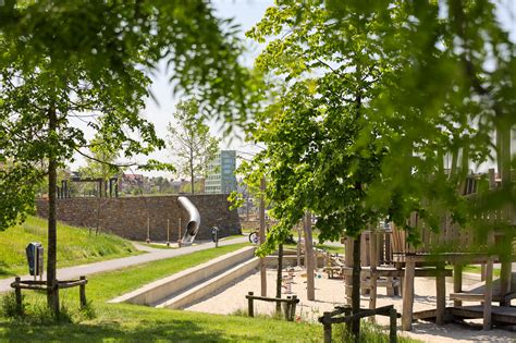 The Psychological Impact Of Green The Importance Of Trees For Our Well Being