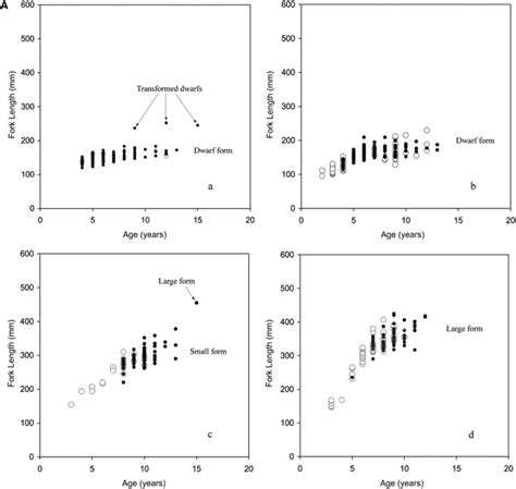 Classification Of Char In Samples From Transbaikalian Lakes With