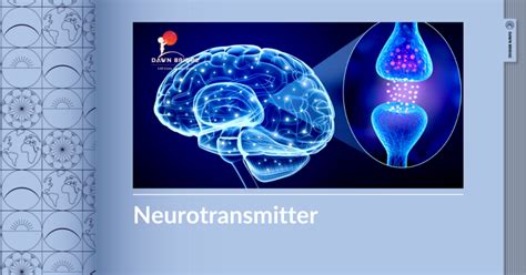 Neurotransmittersandtheirfunctions