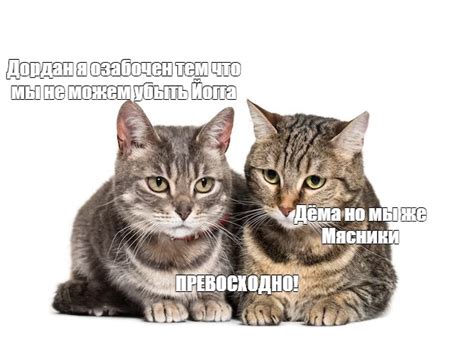 Мем Дордан я озабочен тем что мы не можем убыть Йогга Дёма но мы же Мясники ПРЕВОСХОДНО