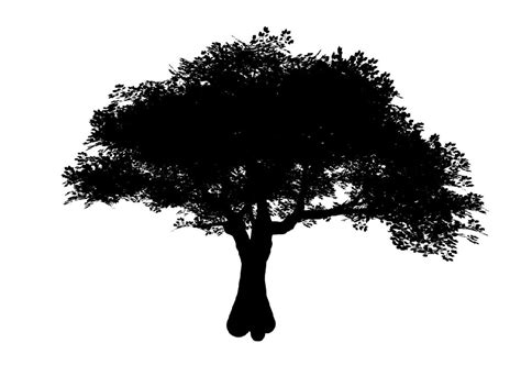 Detailed Tree Stencil Free Download And Print For You