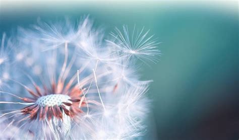 Смартфон Tecno Spark 8p 4 128 Гб Какао Голд купить по цене 3 990 рублей в интернет магазине МТС