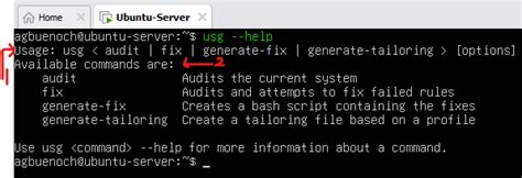 Ubuntu Server Security Hardening With Ubuntu Security Guide Usg Dev Community
