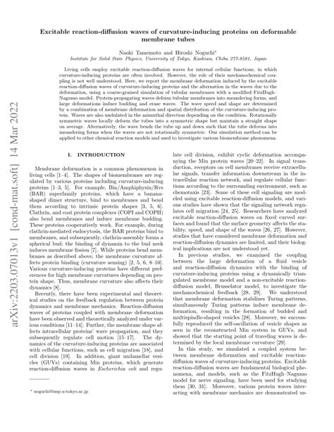 Pdf Excitable Reaction Diffusion Waves Of Curvature Inducing Proteins On Deformable Membrane Tubes