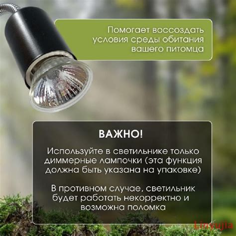 Светильник для террариума лампа для рептилий Dr Verhovtsev на прищепке с таймером Linyujia