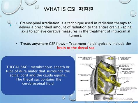 Craniospinal Irradiation Pptx Brain And Nervous System Disorders Diseases And Conditions