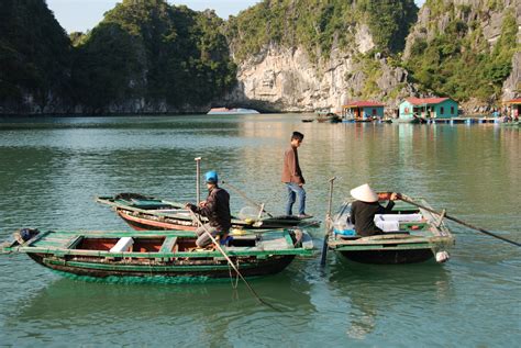 무료 이미지 수자원 보트 및 보트 장비 및 용품 나무 외륜 하늘 운송 수단 야외 레크리에이션 차량 여가 은행 휴양 경치 수로 카누 저수지 편주