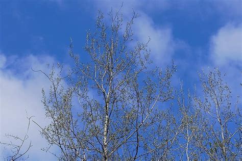 성공회 남양주교회 아침기도 부활하신 예수님 주님은 낙심한 제자들을 찾아가시어 말씀과