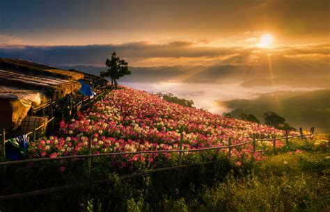 ม่อนหมอกตะวัน Unseen ตาก สวยทะลุหมอก ชมวิว 360 องศา