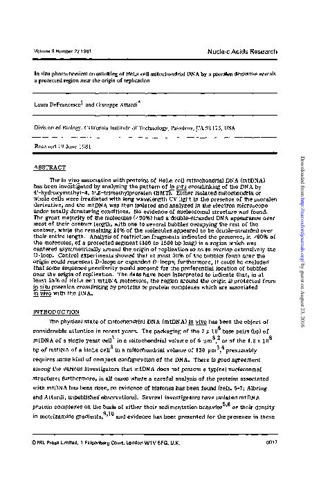 Pdf In Situ Photochemical Crosslinking Of Hela Cell Mitochondrial Dna