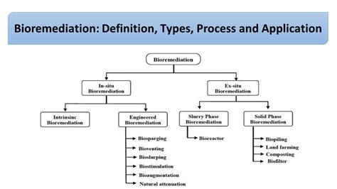 Bioremediation Definition Types Process And Application Microbiology Notes