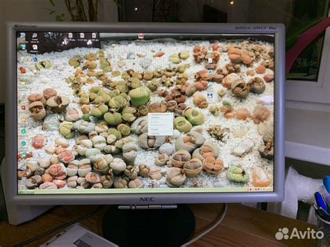 Монитор Nec 20wgx2 Pro под ремонт купить в Москве Электроника Авито
