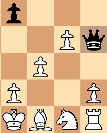 我的象棋观 Some Philosophy About Chess Chess