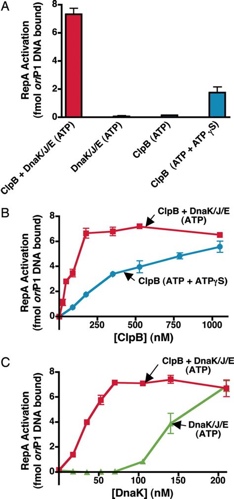 Collaboration Between The Clpb Aaa Remodeling Protein And The Dnak Chaperone System Pnas