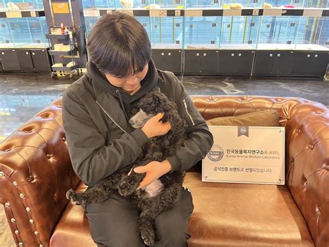 스탠다드푸들 사빠 포메라니안종류 말티즈종류 말티푸종류 푸들종류 먼치킨종류 랙돌종류 브리티쉬숏헤어종류 스코티쉬폴드종류 러시안블루종류 소형견성격 중형견성격 대형견성격 비숑프리제