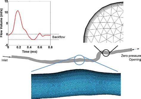 an example of the geometry mesh and boundary conditions used in the