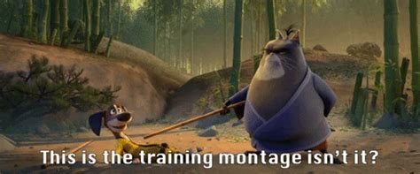 Training Montage S Get The Best  On Giphy