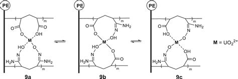 An Overview Of Synthetic Modification Of Nitrile Group In Polymers And Applications Sruthi