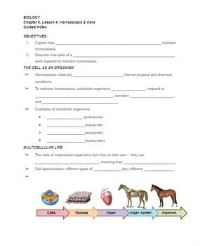 Biology Ch Cell Structure Function Guided Notes PowerPoint