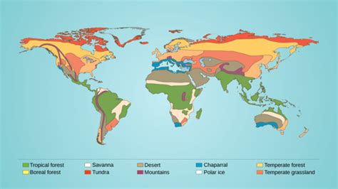 Die Magie Der Biome Erforschung Der Vielfalt Der Erde