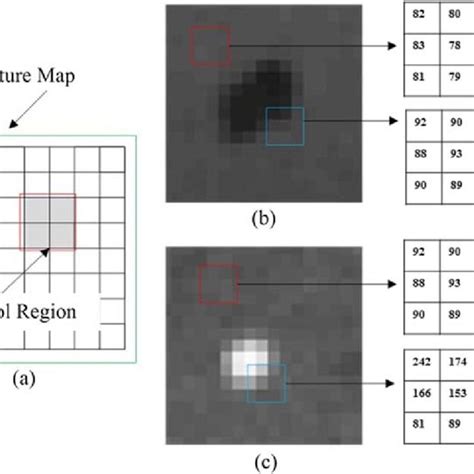 Pooling Strategies In Different Areas Download Scientific Diagram