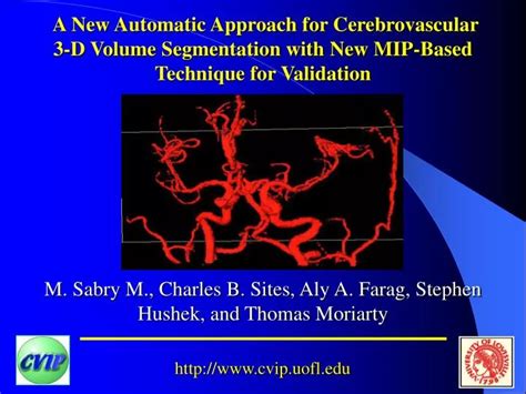 Ppt A New Automatic Approach For Cerebrovascular 3 D Volume Segmentation With New Mip Based