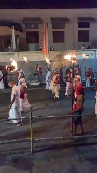 හේවිසි හඬ මැද දියවඩන නිලමේ 🇱🇰 Youtube