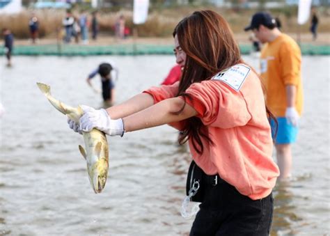 서핑·송이 가고 연어가 왔다3년 만에 열리는 양양연어축제 준비 한창 파이낸셜뉴스