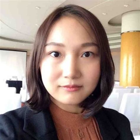 Lu Gan Master Of Engineering Institut National Des Sciences