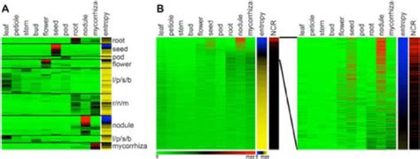Shannon Entropy A Hierarchical Clustering Of The 9000 Probe Sets Download Scientific Diagram