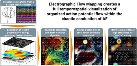 Electrographic Flow Mapping For Atrial Fibrillation Theoretical Basis And Preliminary