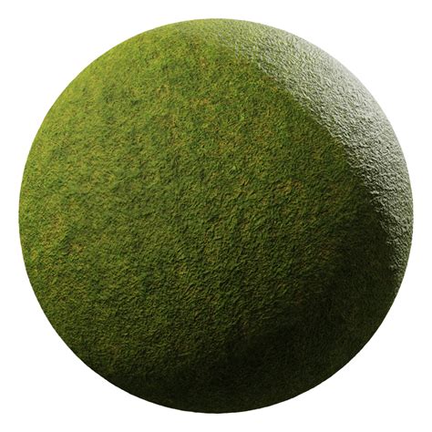 Unity Grass Texture Poliigon