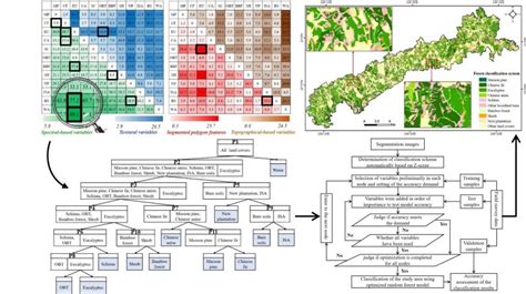 Journal Of Remote Sensing On Linkedin Exploring Tree Species Classification In Subtropical