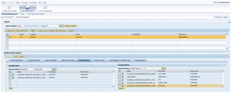 Sap Sourcing Configuring The Portal Iview For Net Sap Community