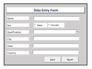 Data Entry Form TheDataLabs