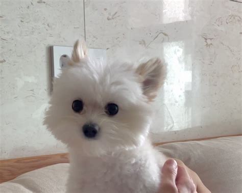 단비 Narangsexhaza Twitter