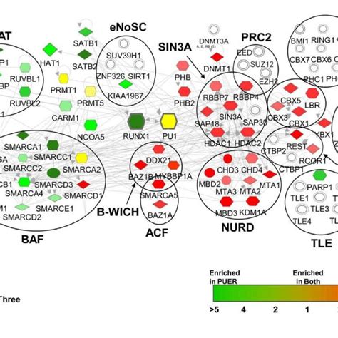 A Summary Figure Of The Switch From Pu1 Interaction With Coactivators
