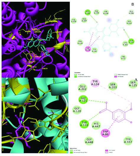 The 2d And 3d Interaction Profiles And Best Interaction Poses Of Major Download Scientific