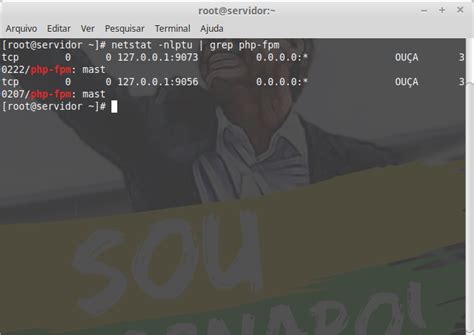 Apache Com Virtualhost Múltiplas Versões De Php Rodando Ao Mesmo Tempo Portal Aprendendo Linux