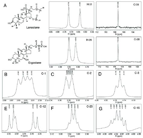 Structural Characterization Of Ergostane Type And Lanostane Type Download Scientific Diagram