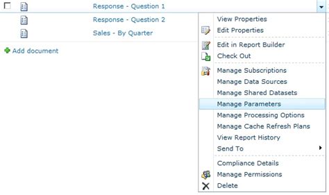 sql reporting services report viewer with access services