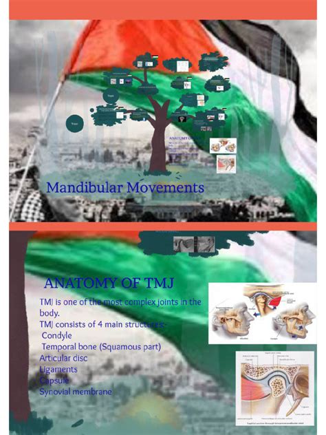 Mandibular Movement Pdf