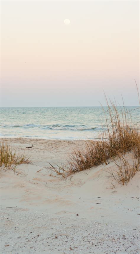 Hide Your Home Office With Free Cisco Webex Backgrounds Updated