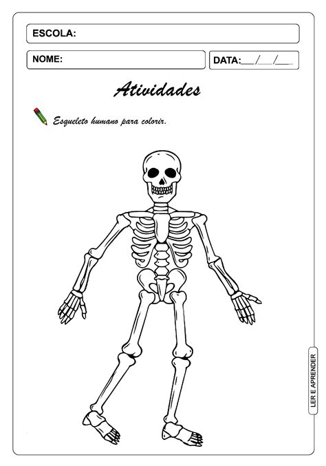 Como Fazer Um Esqueleto Humano De Papelão Librain